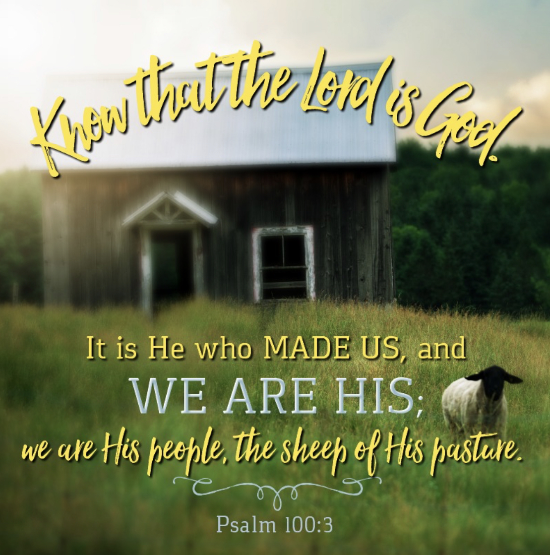 following the Shepherd – the cover of His Presence